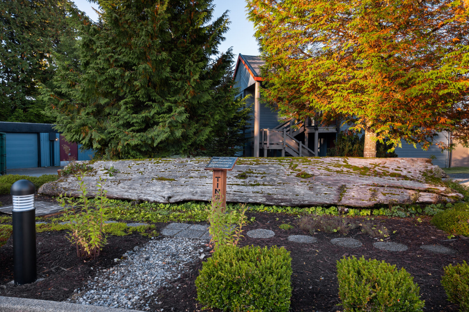 Discover the spirit of Tin Wis: sharing Tla-o-qui-aht culture at home ...